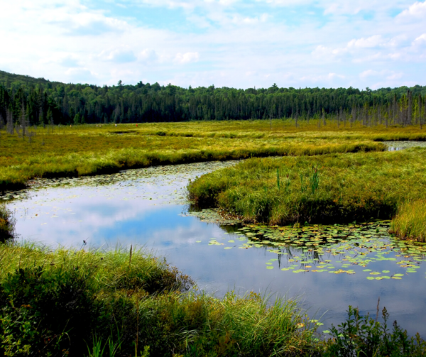 APSU GIS Center - a Unit of Austin Peay State University